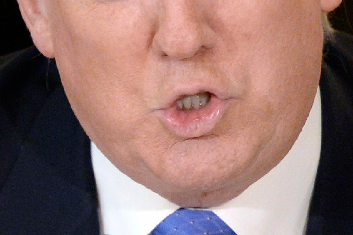 How Trump's speaking style drives home his message - Philly